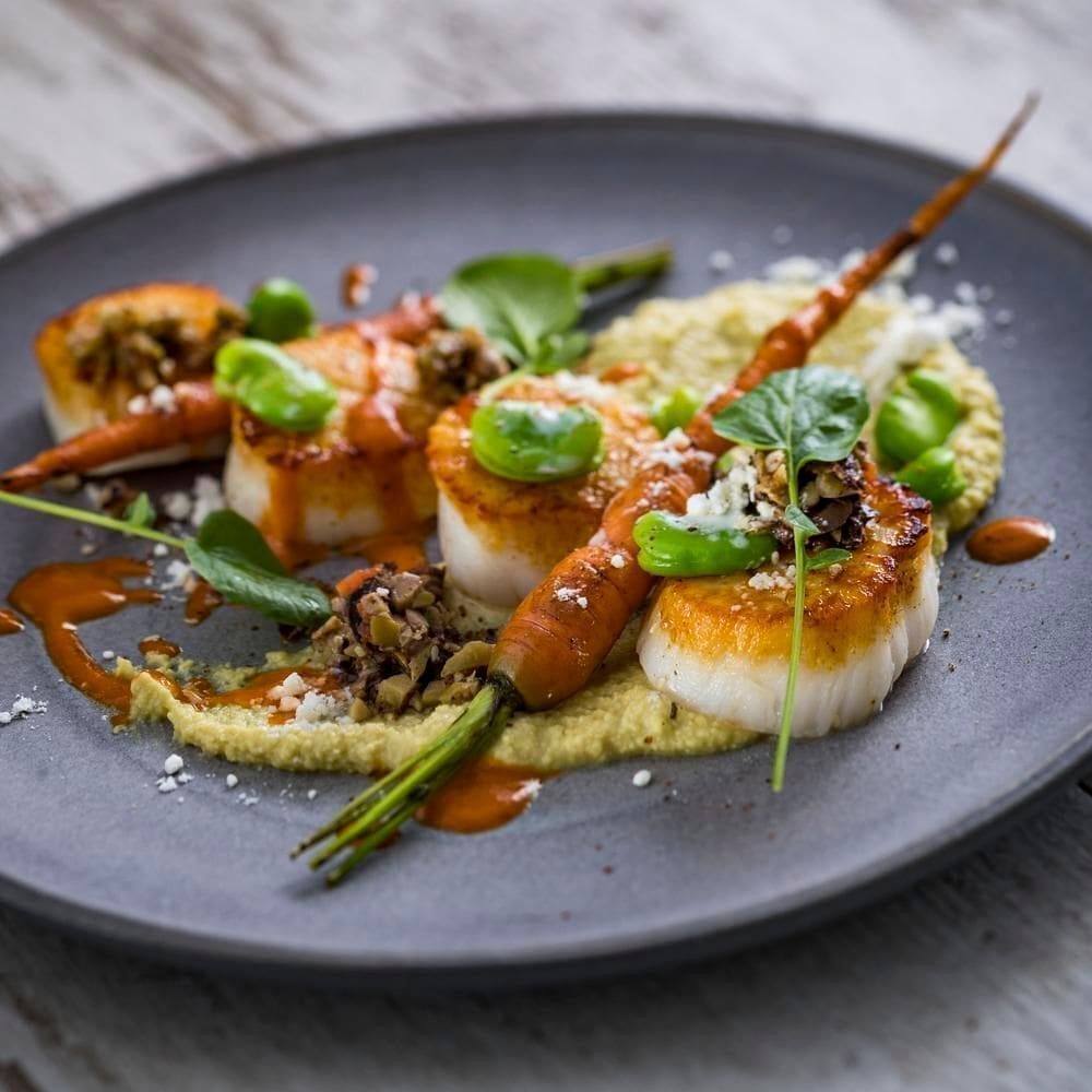 A Closer Look at Toledo in Orlando | Miami Daily Life