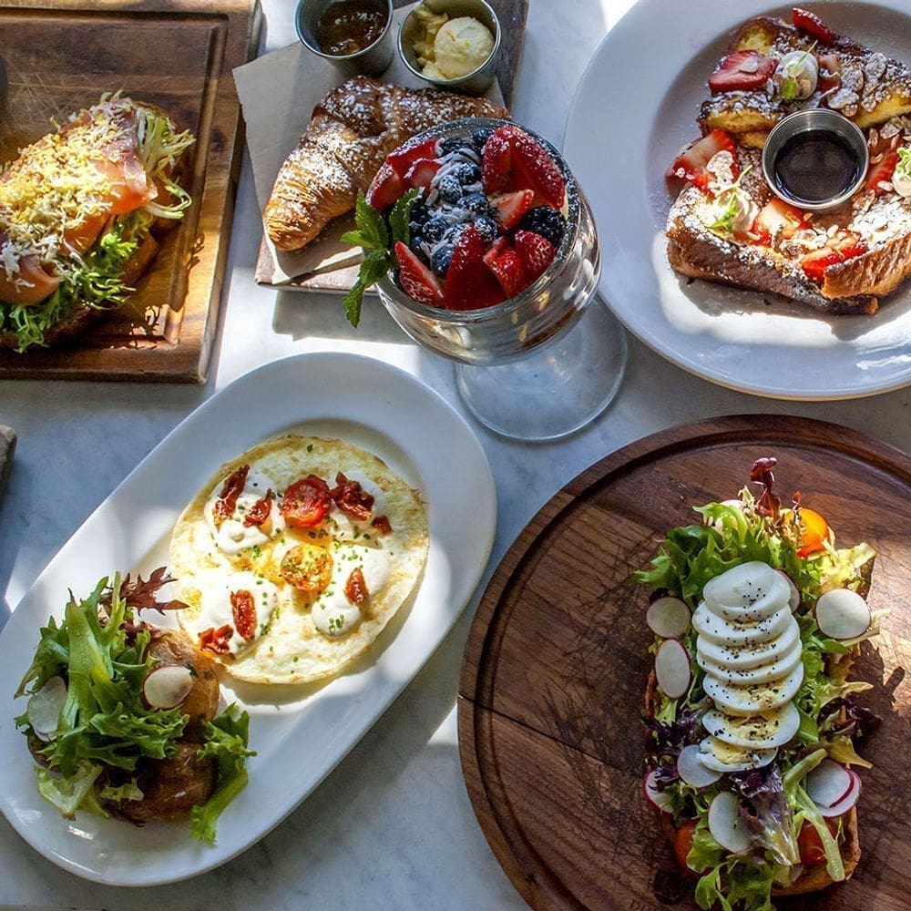 On Swann: Exploring the Charm of Tampa's Local Cuisine | Miami Daily Life