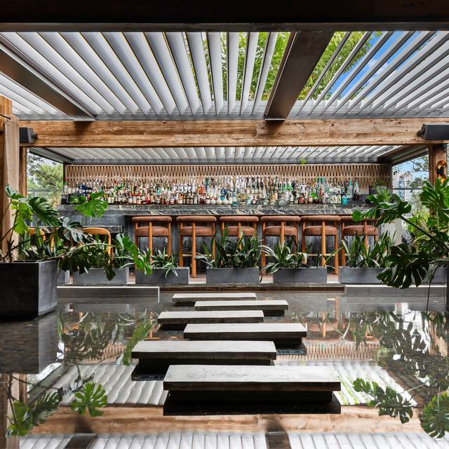 MILA: Discovering the Culinary Elegance of a Miami Rooftop | Miami ...