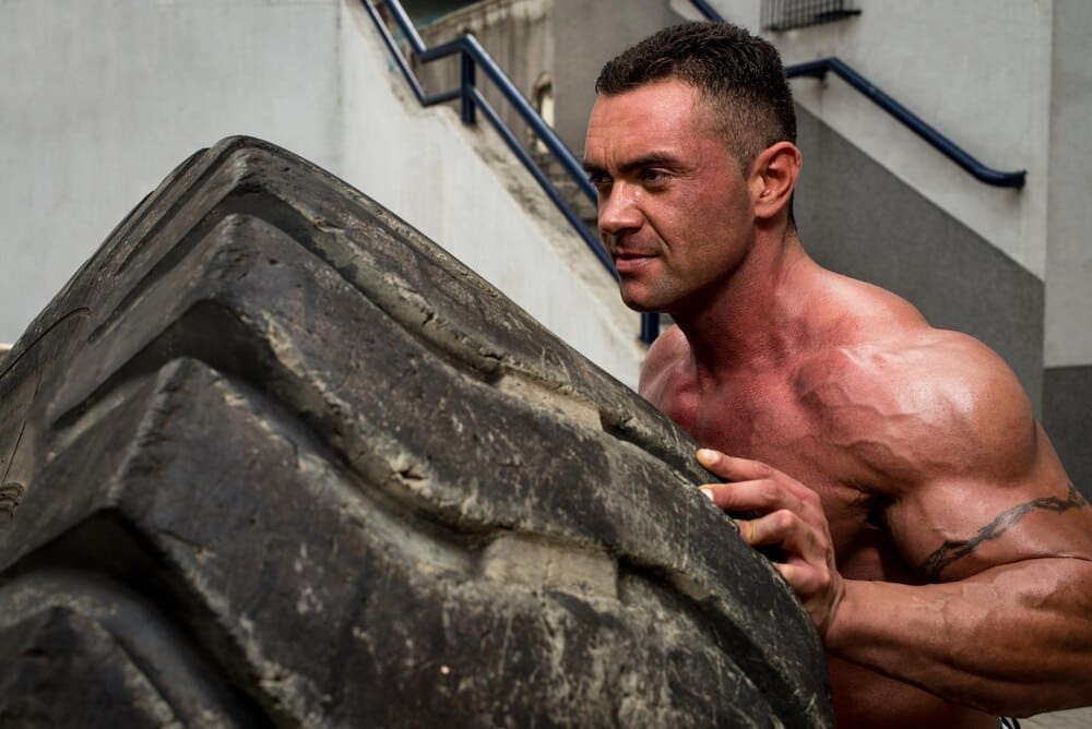 "Bulking" & "Cutting" Cycles: Your Guide to Muscle Building & Fat Loss